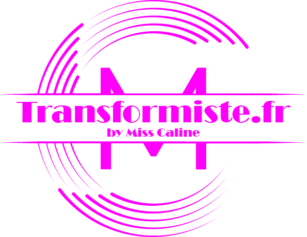 Accueil - Transformiste.fr